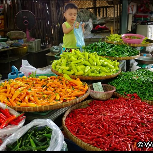Chillva Night Market Phuket - A night market on weekdays! PHUKET 101