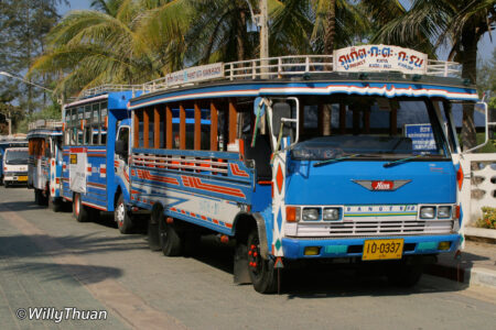 Phuket Local Blue Bus And Pink Bus - PHUKET 101