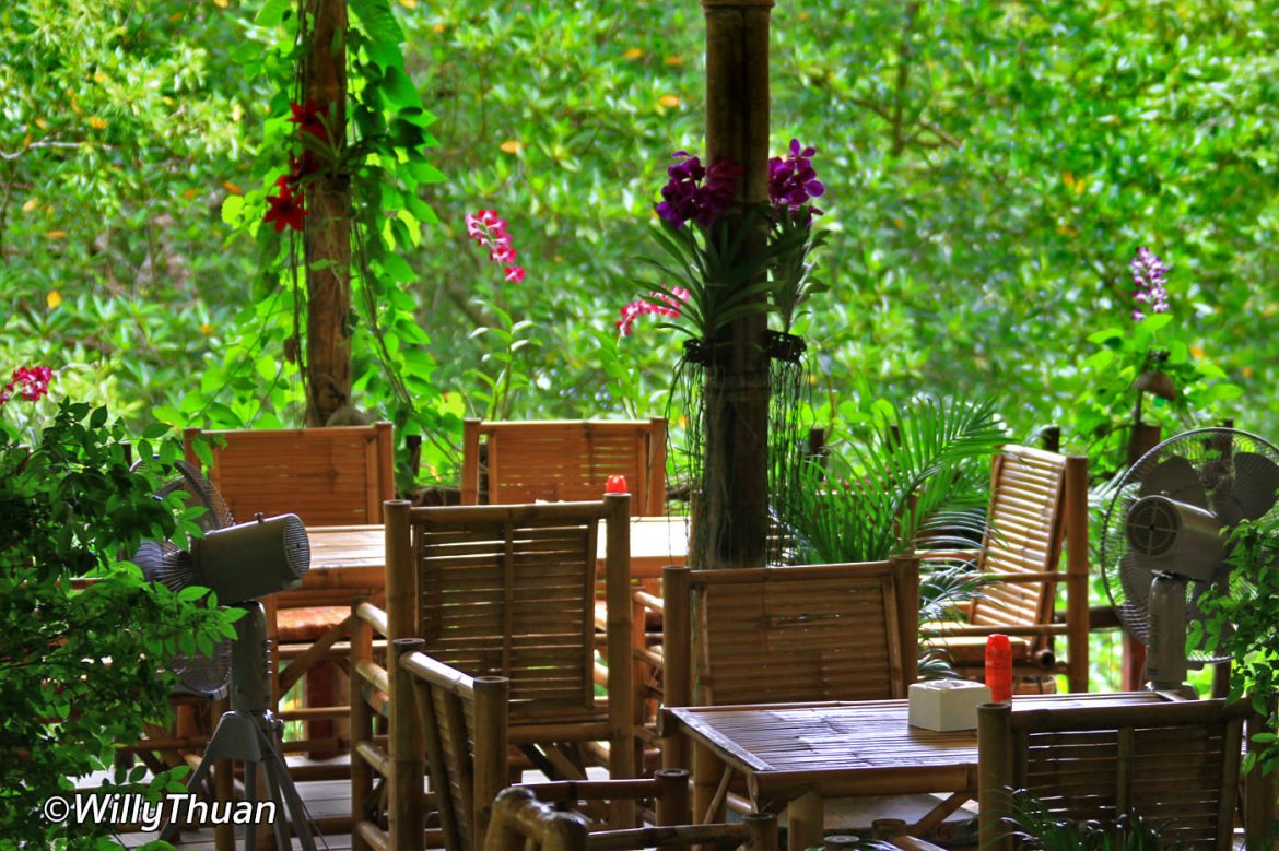 Kin Dee Restaurant Phuket - PHUKET 101