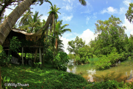 Kin Dee Restaurant Phuket - PHUKET 101