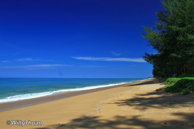 Nai Yang Beach Phuket 2026: Quiet North Coast Local Guide