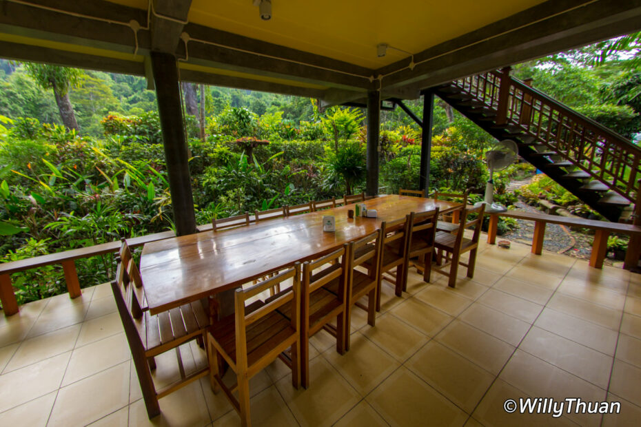 Peang Prai Restaurant (เพียงไพร) - Local Michelin At Bang Pae Waterfall
