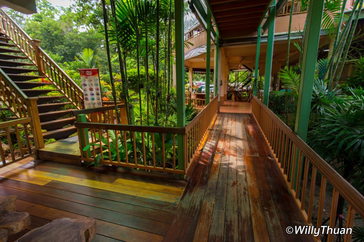 Peang Prai Restaurant (เพียงไพร) - Local Michelin At Bang Pae Waterfall