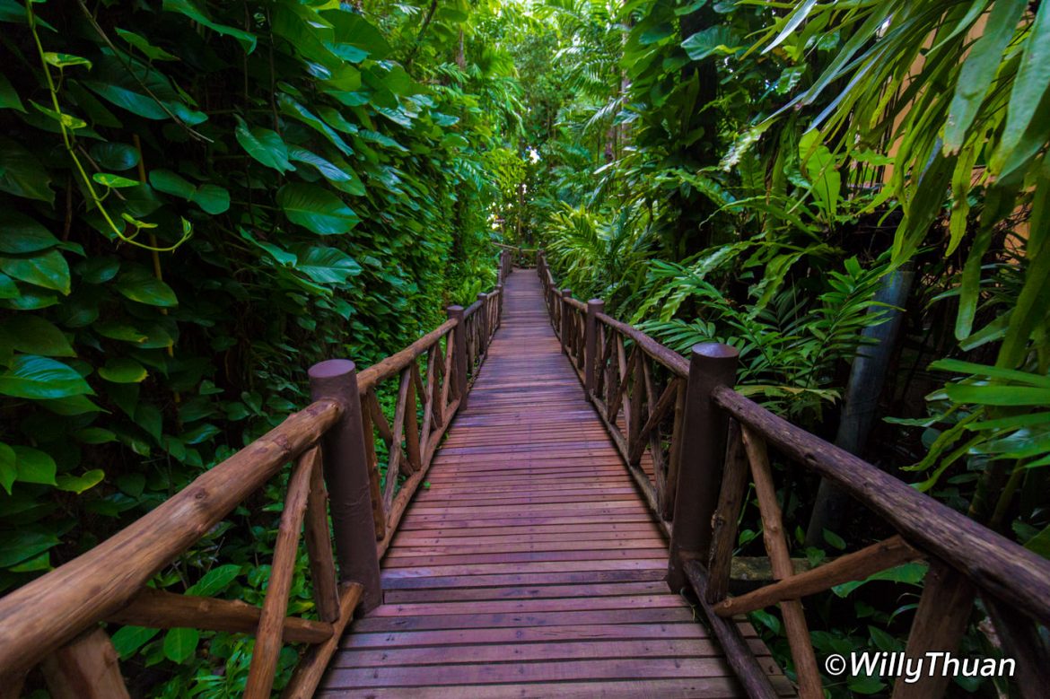 On The Rock Restaurant Phuket - PHUKET 101