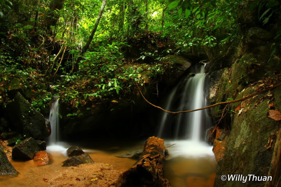 Kathu Waterfall (น้ำตกกะทู้) A Small Waterfall In Phuket