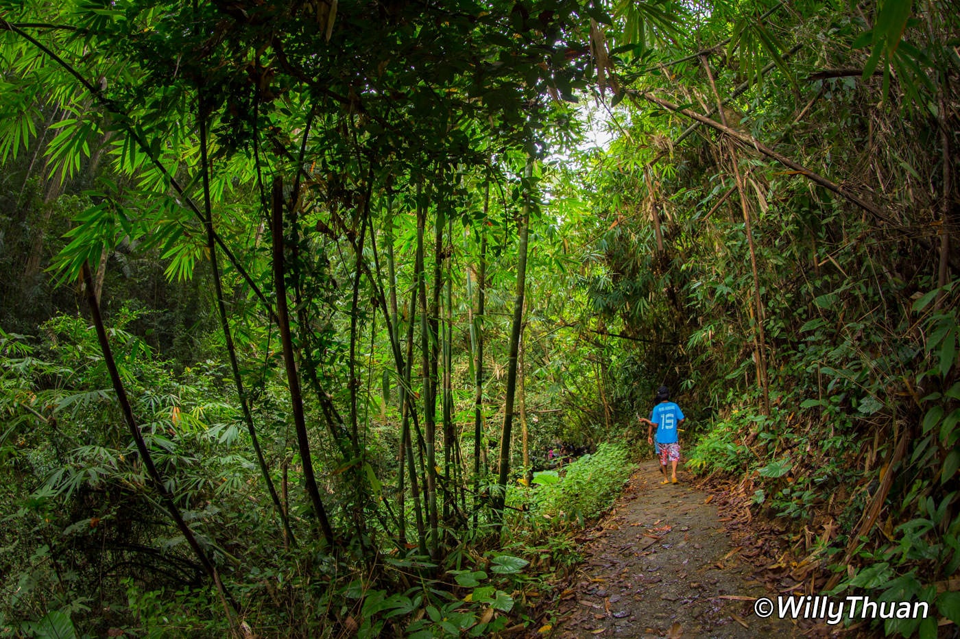 Phuket Waterfalls - PHUKET 101
