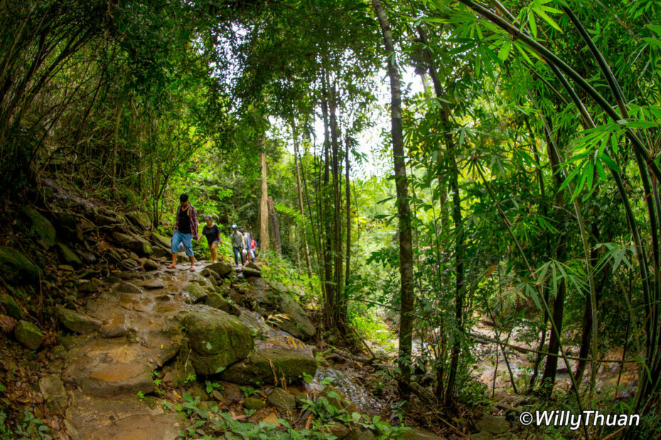 Bang Pae Waterfall - PHUKET 101