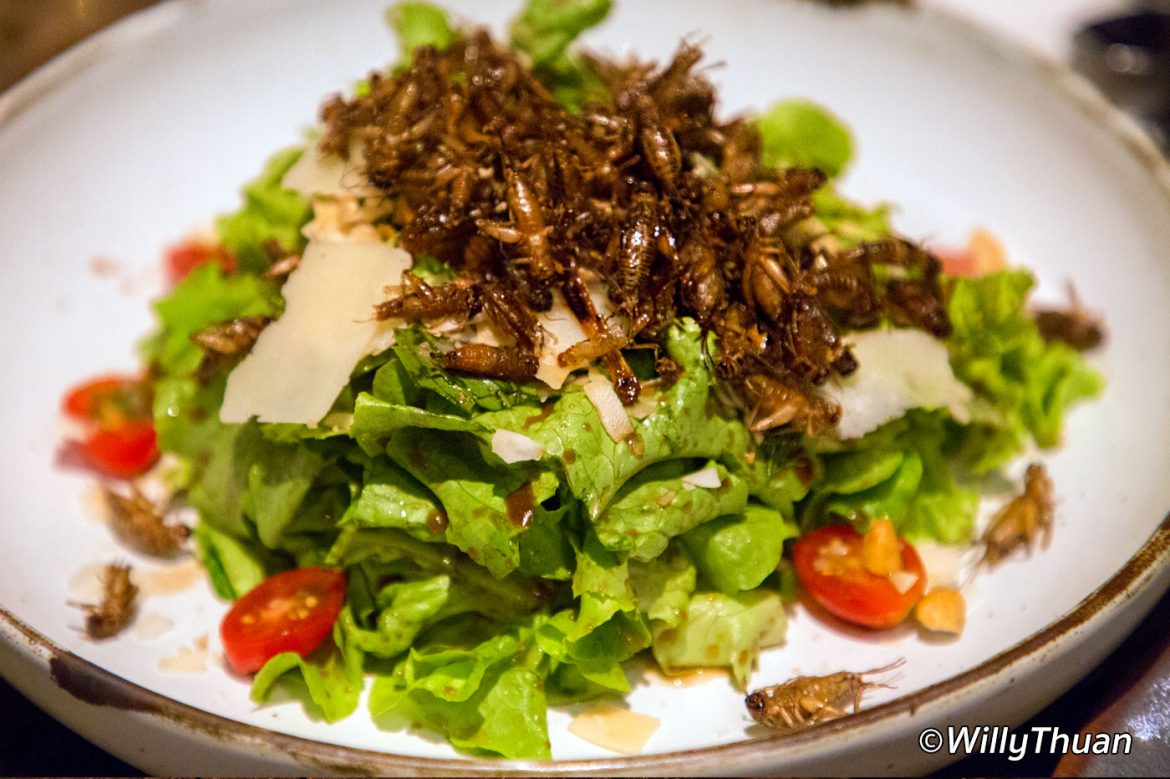 Eating Fried Insects In Phuket - PHUKET 101