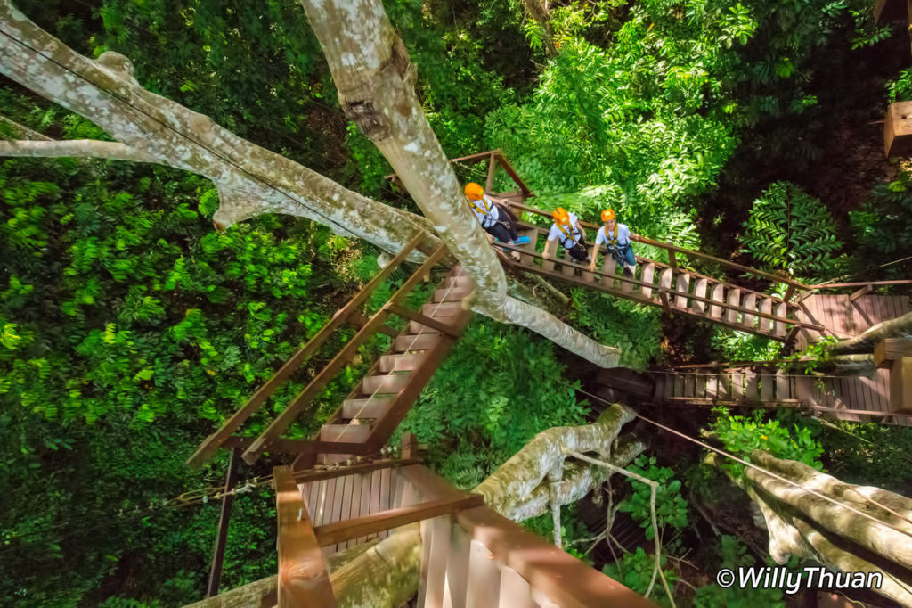 Flying Hanuman Phuket | Zipline Near Patong Beach