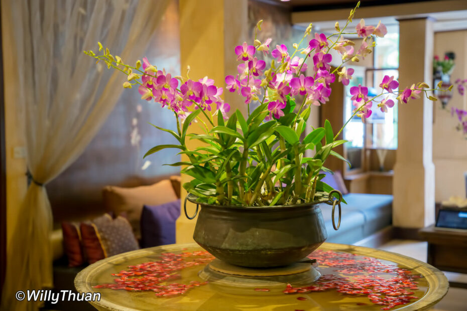 Burasari Phuket - PHUKET 101