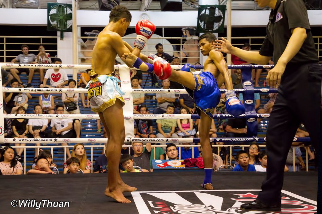 Tiger Muay Thai And MMA Training Camp - PHUKET 101