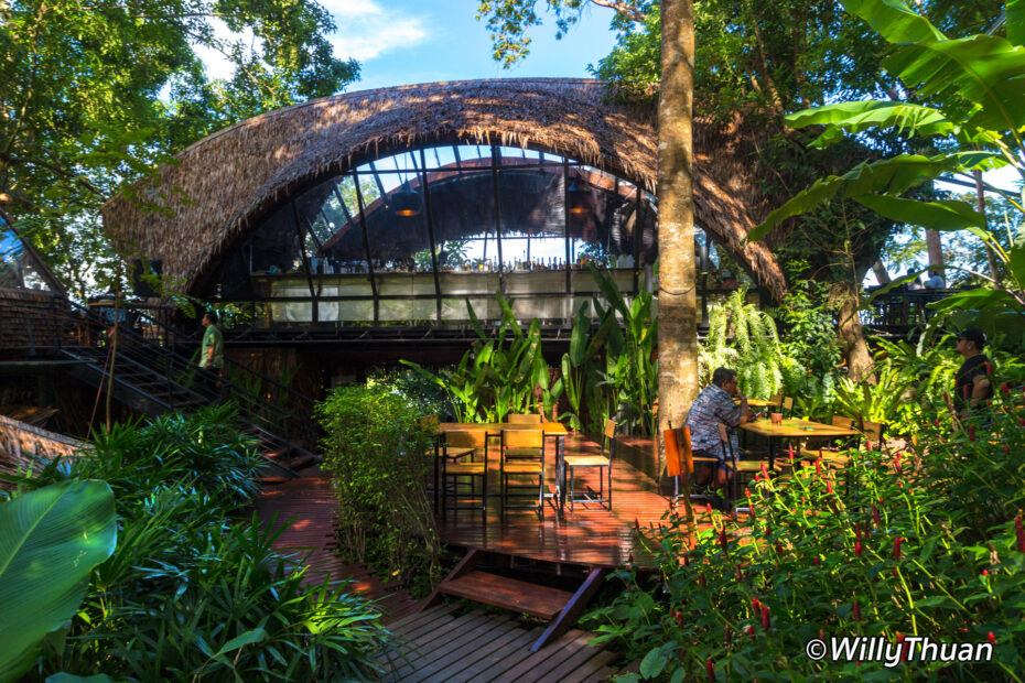 Three Monkeys Restaurant - PHUKET 101