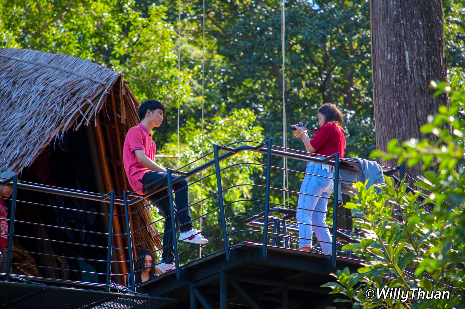 Three Monkeys Restaurant Phuket - PHUKET 101