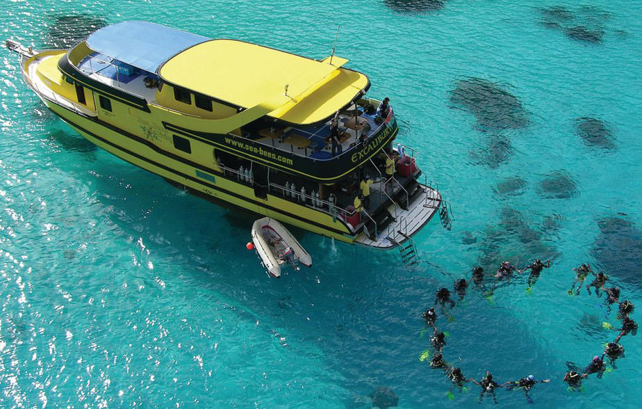 Sea Bees Diving - PHUKET 101