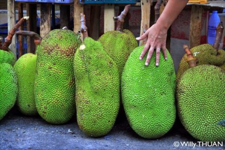 普吉岛必尝的25种泰国水果 - PHUKET 101