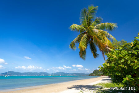 Cape Panwa - PHUKET 101