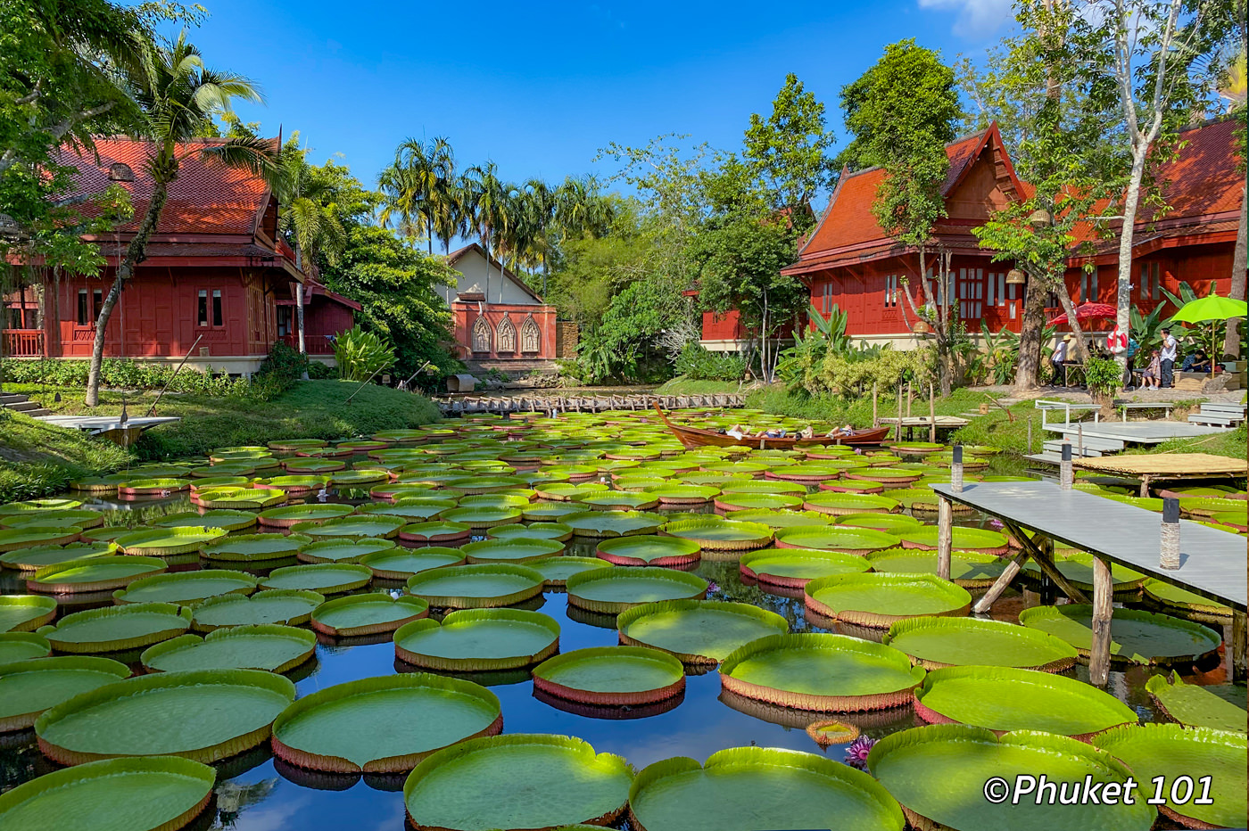Ma Doo Bua - PHUKET 101