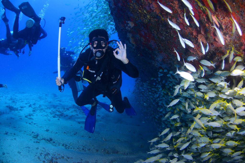 Best Dive Centers In Phuket 🤿 - PHUKET 101