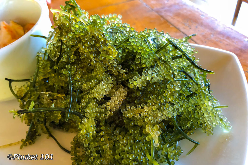 Peang Prai Restaurant (เพียงไพร) - Local Michelin At Bang Pae Waterfall
