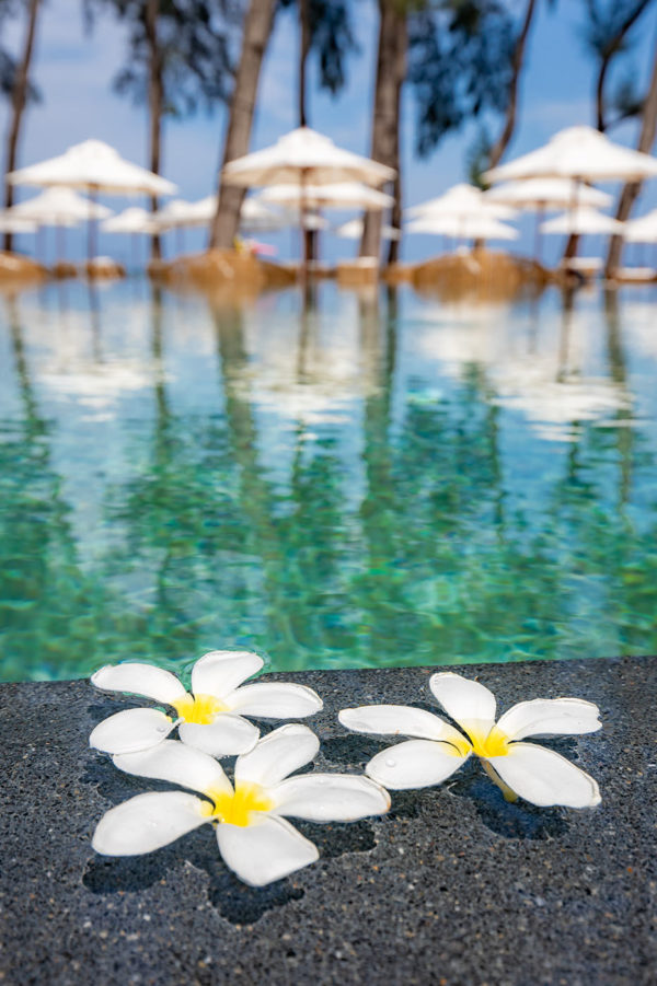 Pine Beach Bar - PHUKET 101