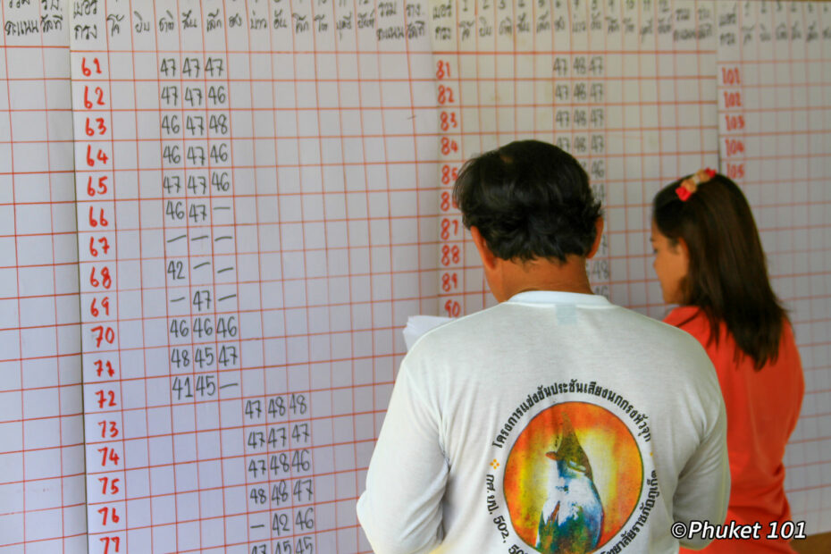 Bird Singing Competitions In Phuket - PHUKET 101