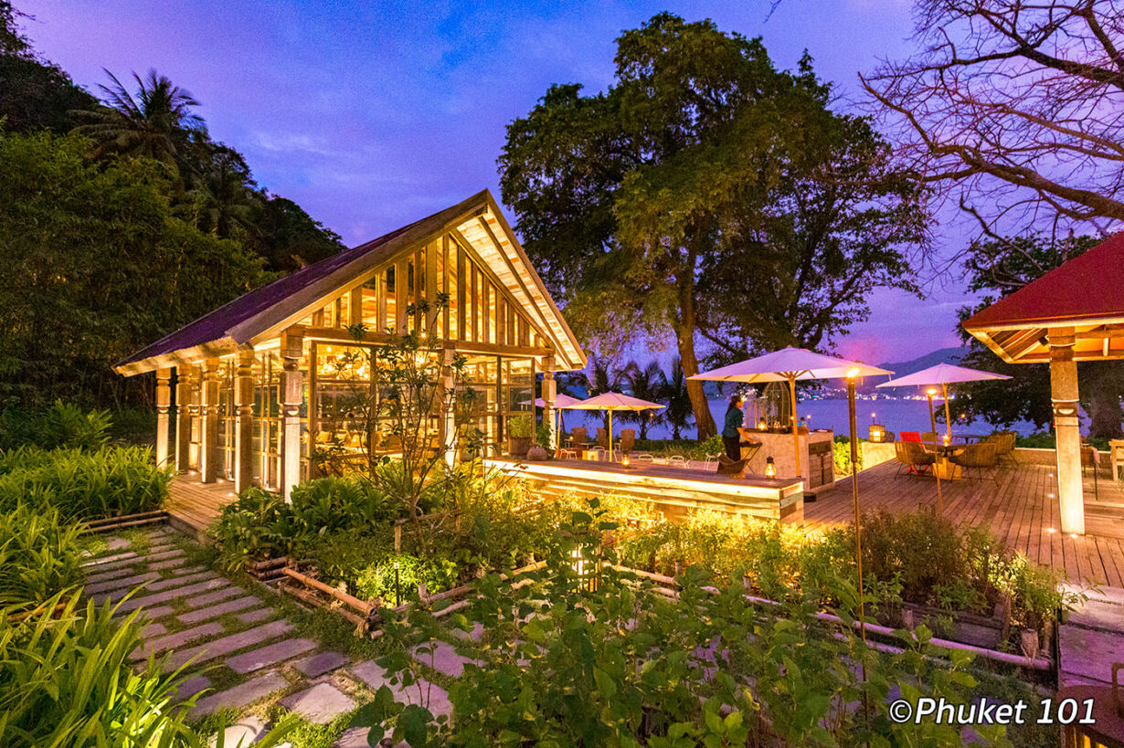 15 Best Restaurants in Patong Beach - PHUKET 101