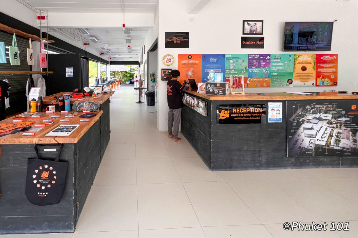 Soi Dog Foundation In Phuket | Help Dogs And Cats Of Phuket, Thailand ...