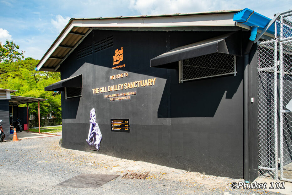 Soi Dog Foundation In Phuket - PHUKET 101