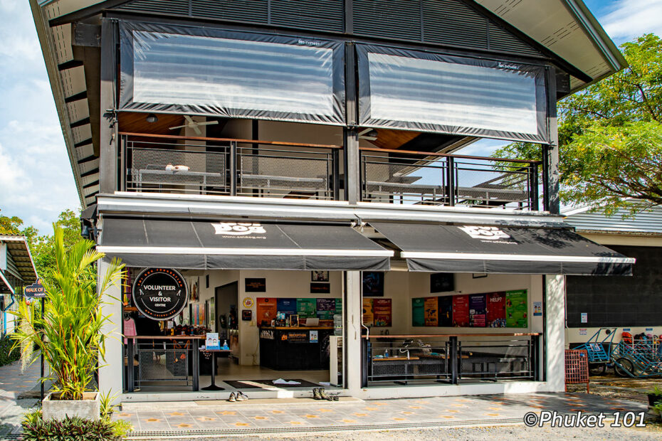 Soi Dog Foundation In Phuket - PHUKET 101