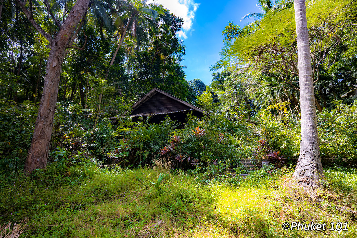 Freedom Beach, a Hidden Beach in Phuket - PHUKET 101