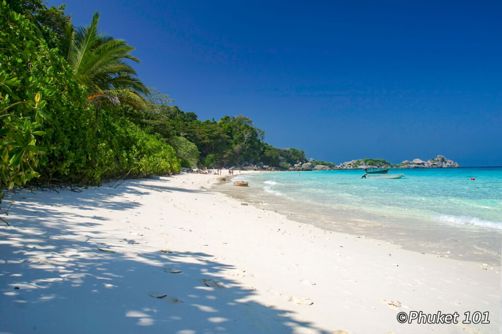 Similan Islands 🏝️ How To Visit And What To Expect?