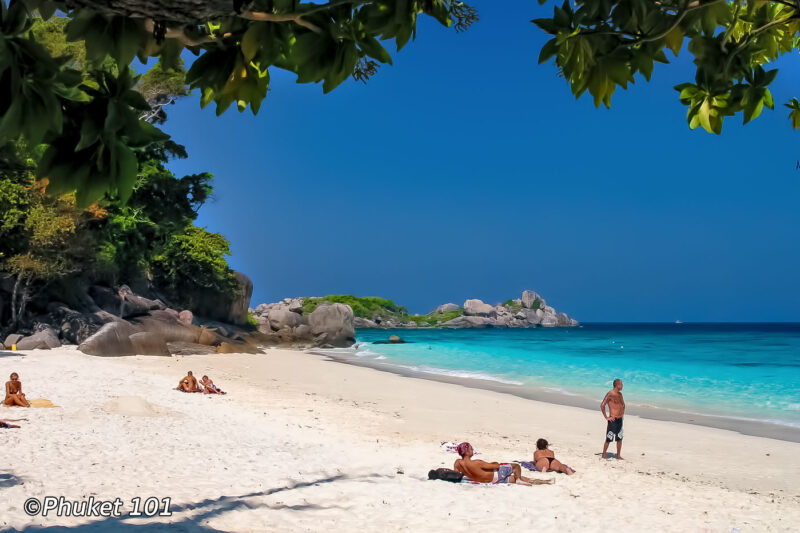 Similan Islands 🏝️ How To Visit And What To Expect?