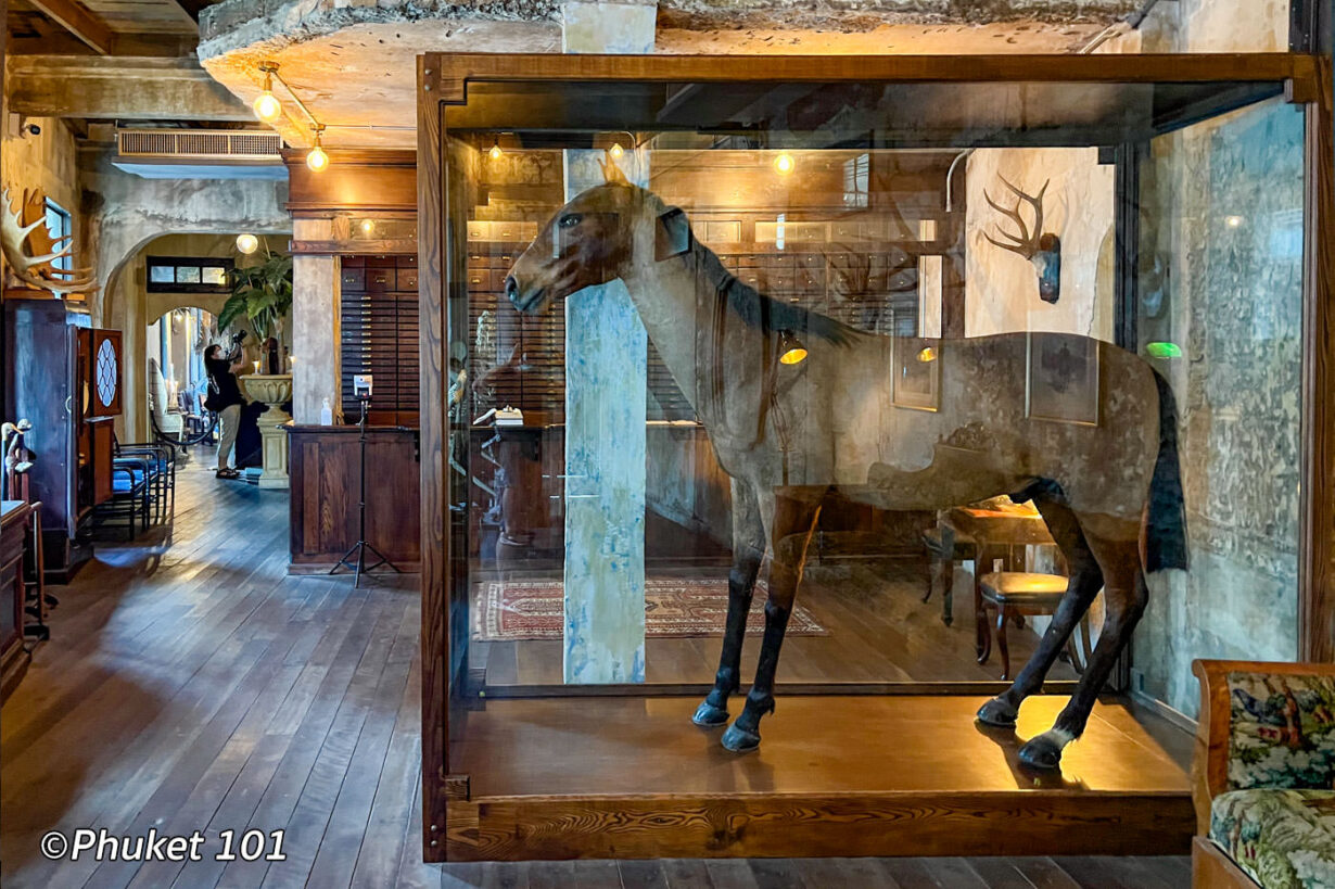 The Mustang Blu Bangkok - Hotel And Cafe | The Mustang Blu Cafe And ...