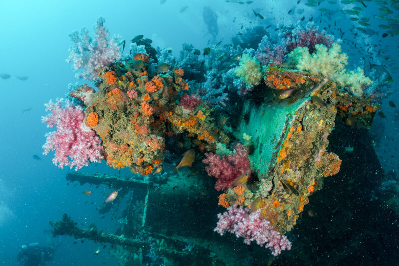 7 Best Phuket Dive Sites - PHUKET 101