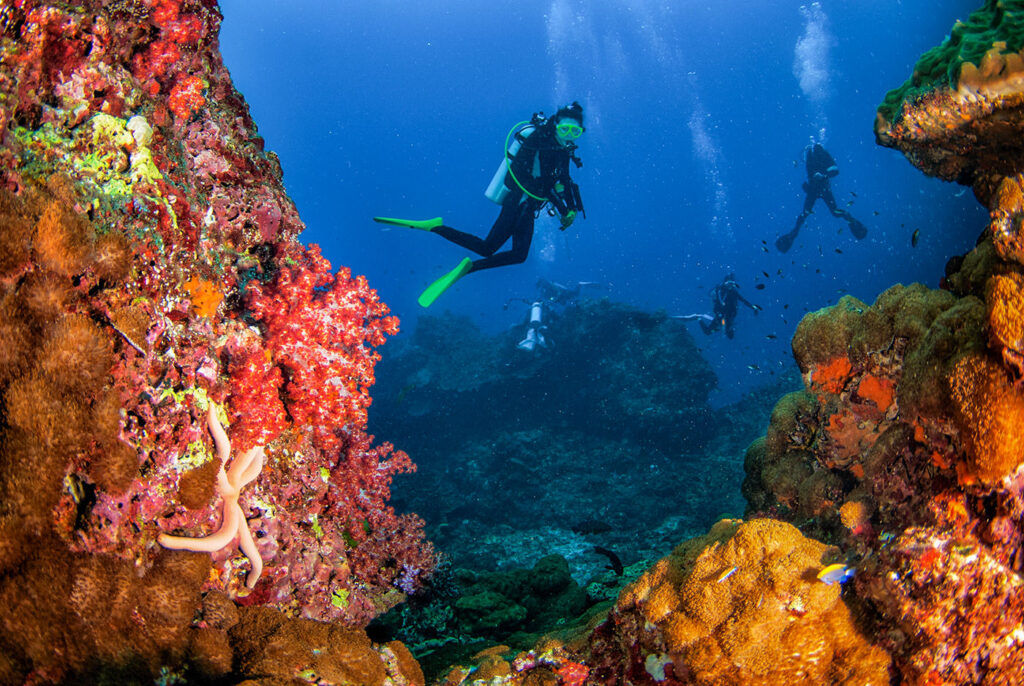 7 Best Phuket Dive Sites - PHUKET 101