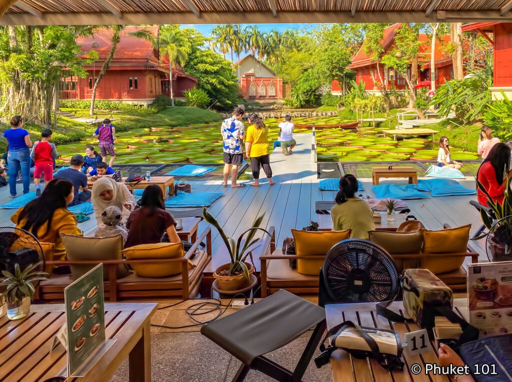 Ma Doo Bua Phuket (มา ดู บัว) Giant Lily Pad Cafe Near Bang Tao