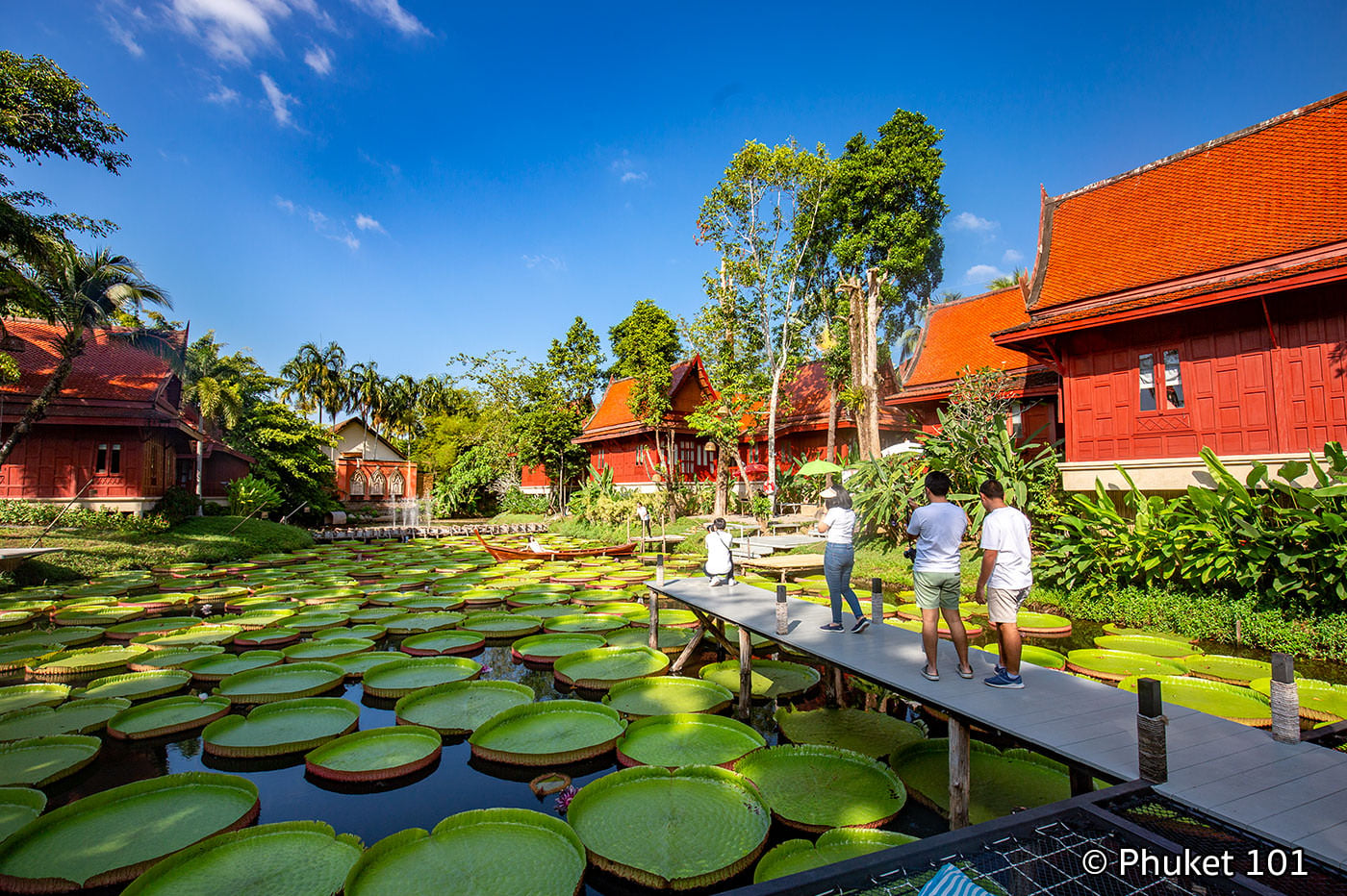 Ma Doo Bua - PHUKET 101