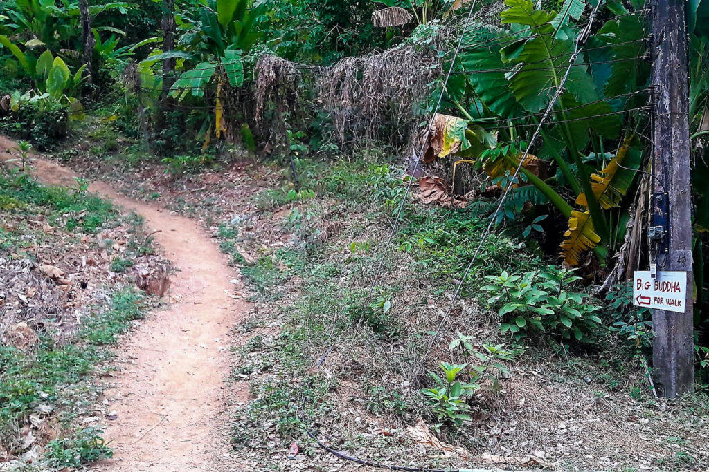 Hiking To Phuket Big Buddha From Karon Beach | Climbing The Trail From ...