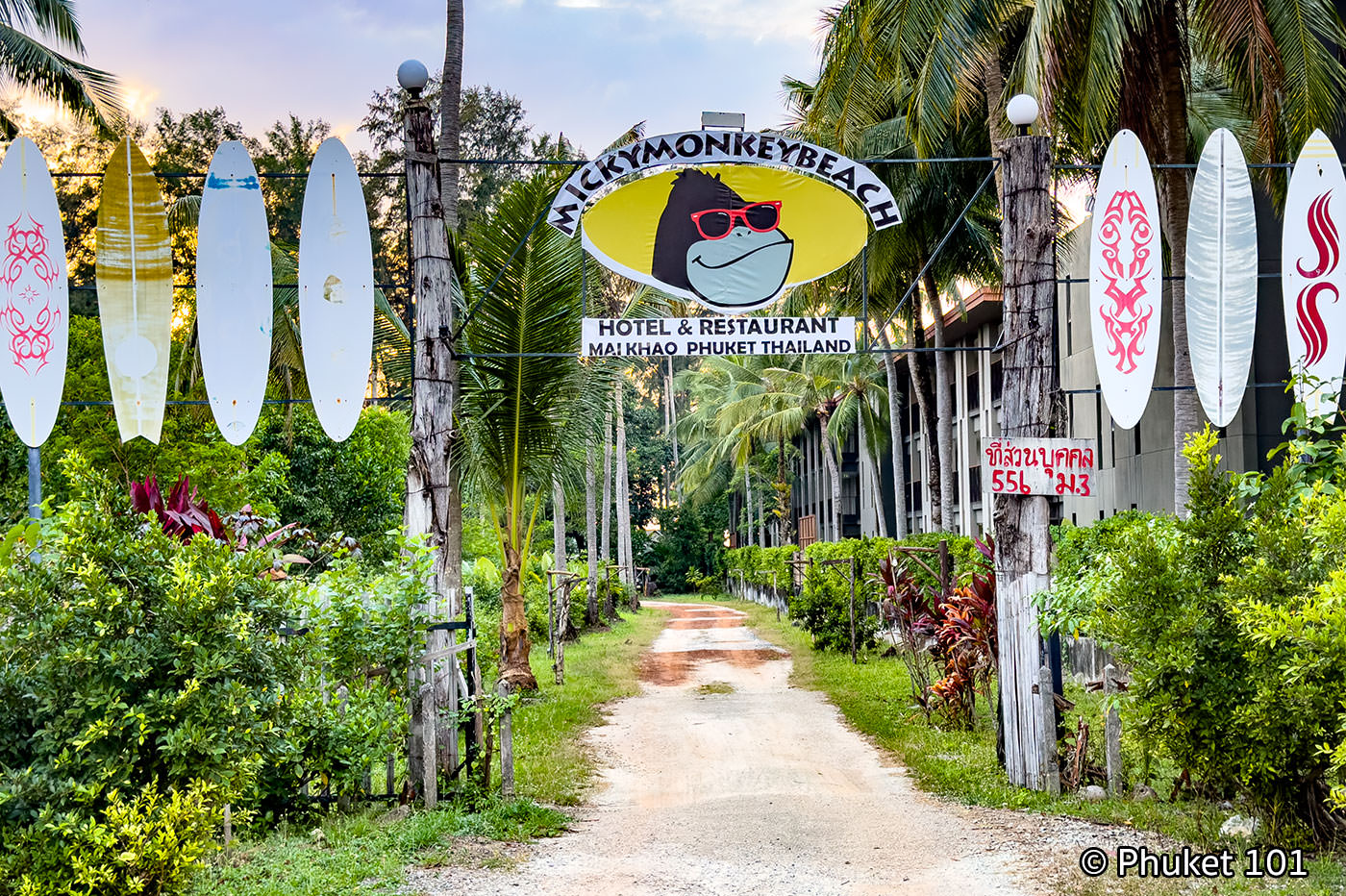 Micky Monkey Beach Bar In Maikhao Beach - PHUKET 101