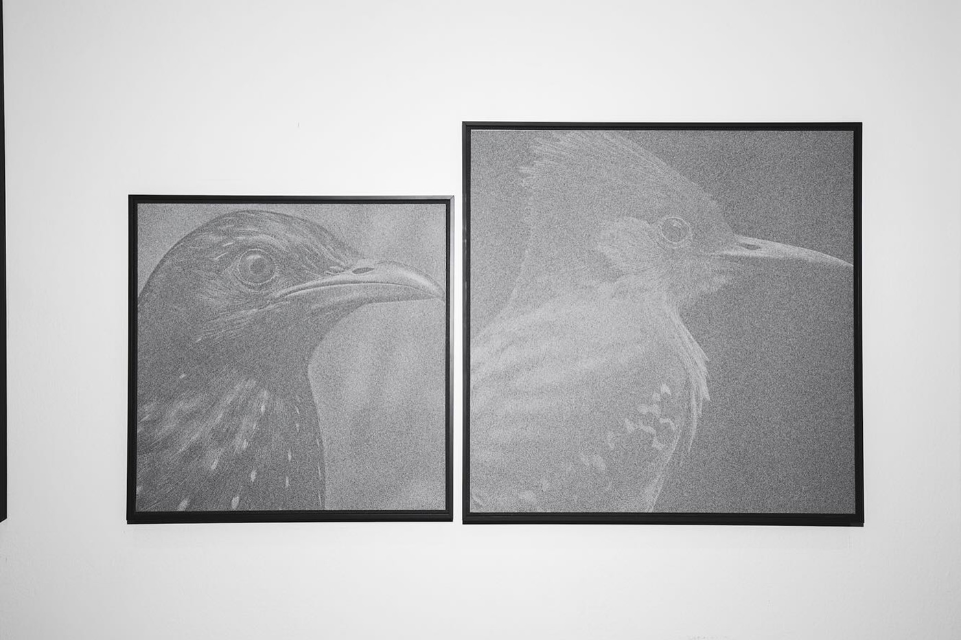 Warin Lab Comtemporary - A Contemporary Art Gallery