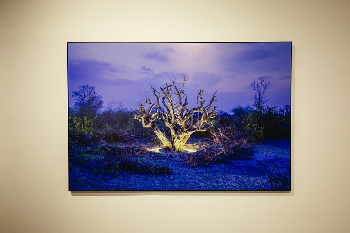 Warin Lab Comtemporary - A Contemporary Art Gallery