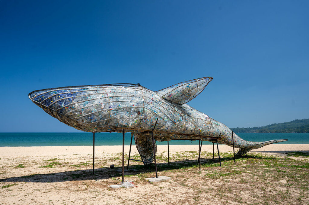 Sea Turtle Conservation Center In Khao Lak - PHUKET 101