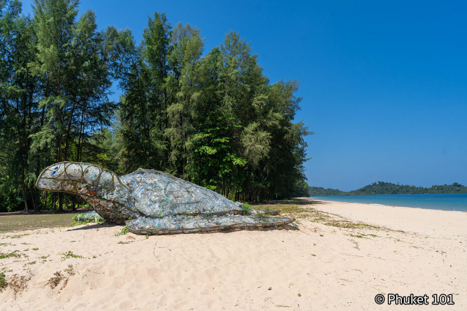 Sea Turtle Conservation Center In Khao Lak - PHUKET 101