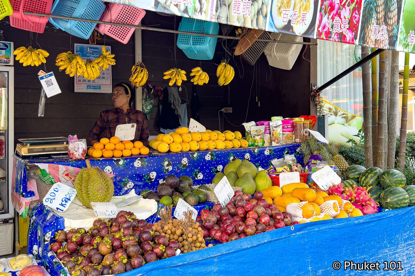 Turtle Village in Mai Khao - PHUKET 101