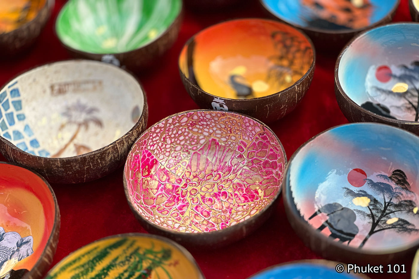 Turtle Village in Mai Khao - PHUKET 101