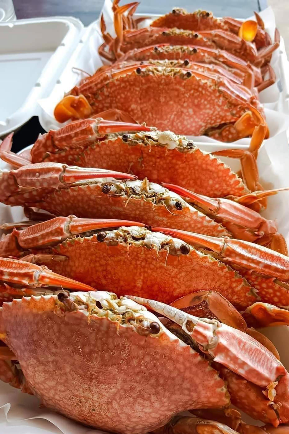 The Dome BBQ Restaurant | Buffet & Seafood Restaurant - Patong Beach