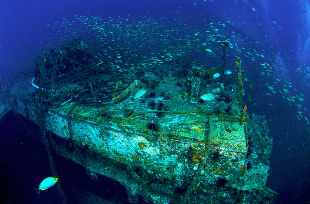 The King Cruiser Wreck - PHUKET 101