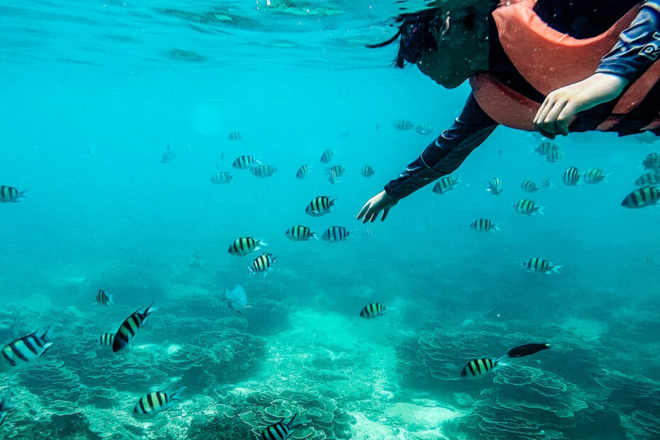 Travel Phuket Groupie Tour | Offers A Selection Of The Best Of One Day ...