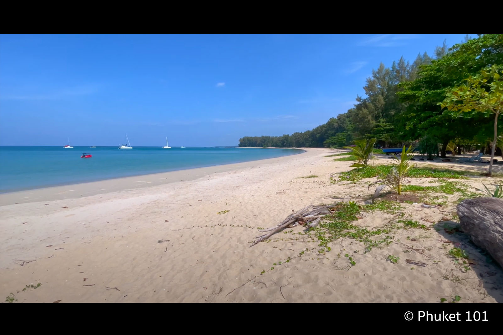 Nai Yang Beach Video 🎬 - PHUKET 101