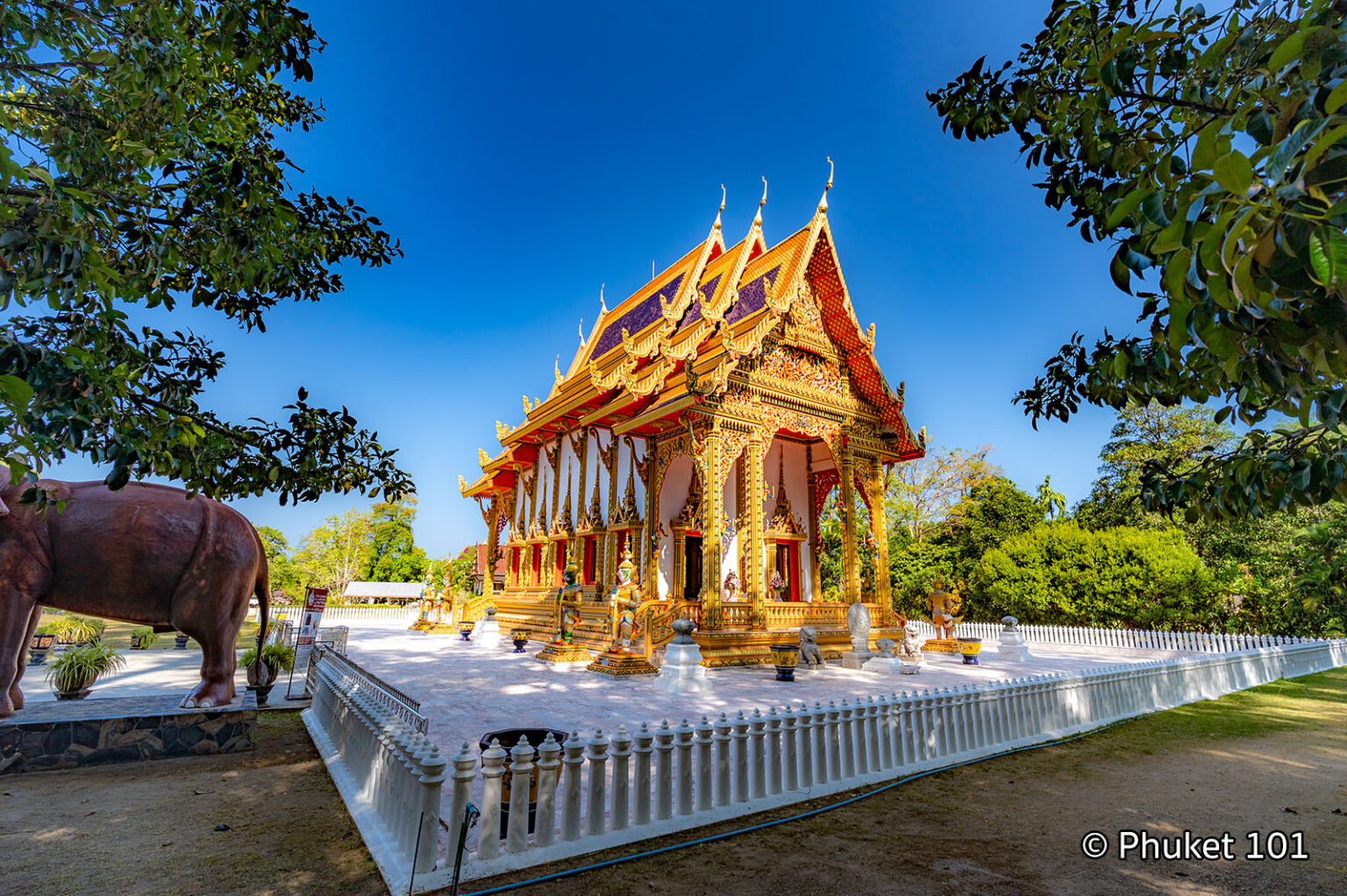 Bang Niang Night Market - PHUKET 101